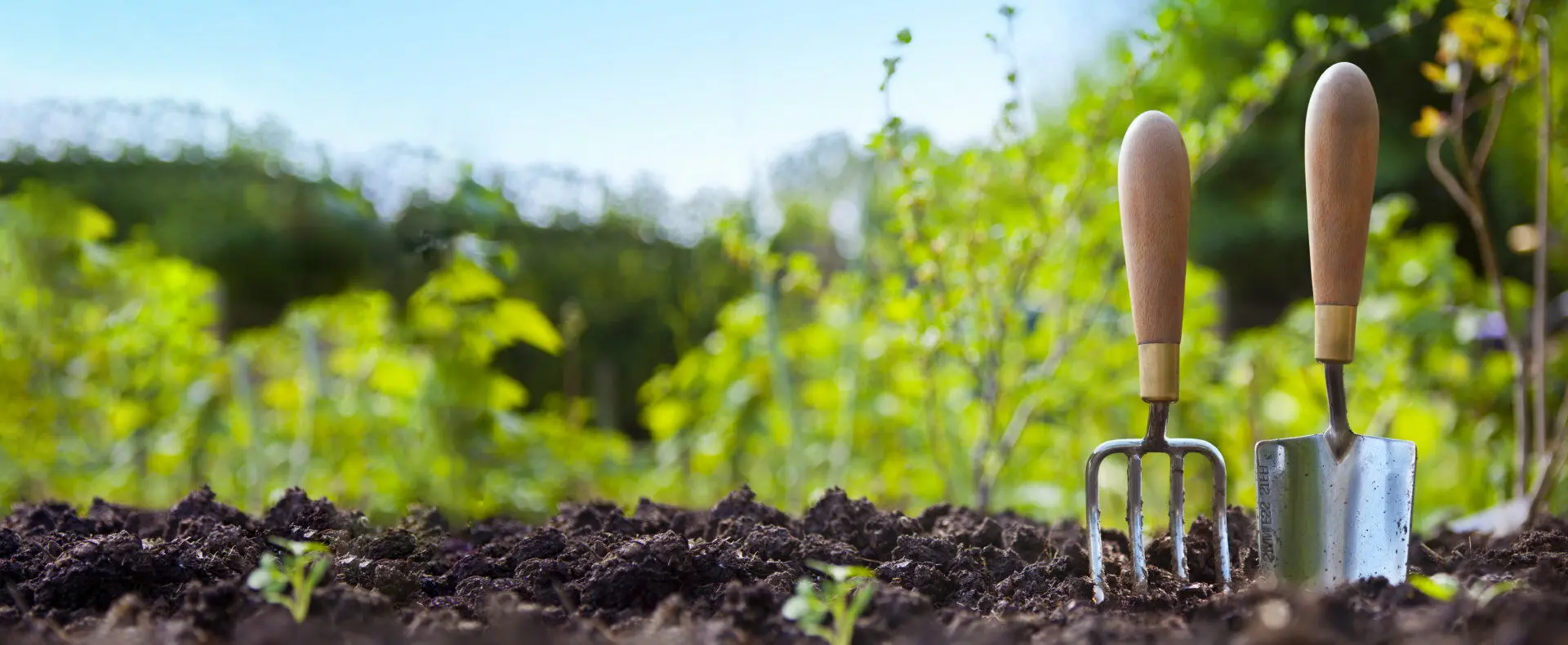 Production biologicals of microbial and enzyme products for your garden ...